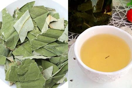 图荷叶茶减肥是什么原理 这些你都了解过吗 荷叶茶 伊秀美体网 yxlady