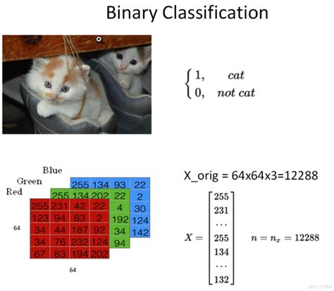 能实现二分类的机器学习模型 什么是二分类模型mob6454cc63081f的技术博客51cto博客