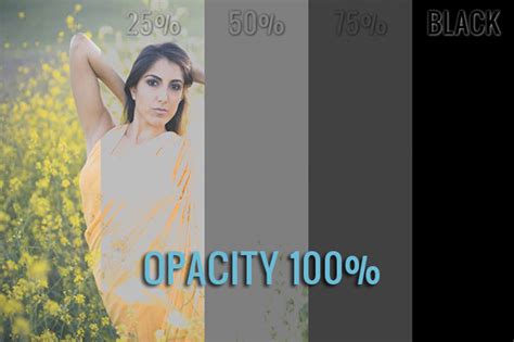 Photoshop Blending Modes The Ultimate Visual Guide