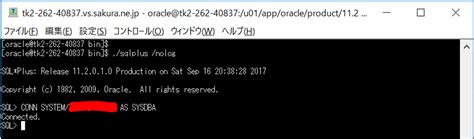 【plsql】”utlfile”パッケージを利用して”txt”を読み込む方法 Rainbow Engine
