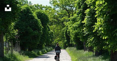 낮 동안 회색 아스팔트 도로에서 자전거를 타는 검은 재킷을 입은 남자 사진 Unsplash의 무료 독일 이미지