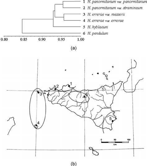 Upgma Phenogram Representing The Genetic Similarities Between