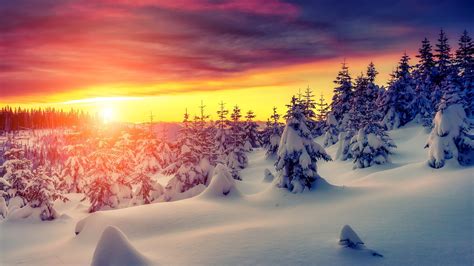 Snow Wallpapers 50 Images Wallpapercat