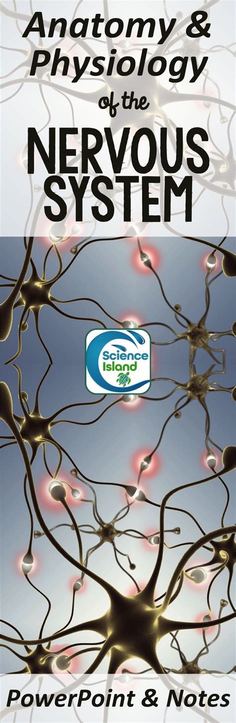 Nervous System Background Powerpoint
