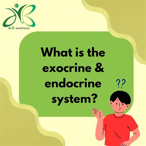 The Dynamic Duo Unraveling The Drb Wellness Center