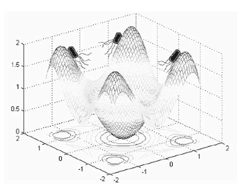 A Bacterial Swarm On A Multi Modal Objective Function Surface