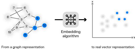 An Introduction To Graph Embeddings