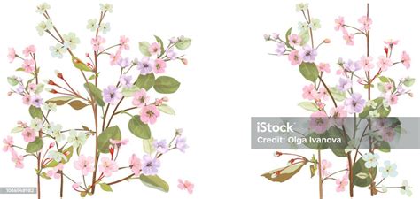 봄 꽃과 가로 테두리입니다 핑크 푸른 꽃 체리 Florets 분 지 새싹 흰색 바탕에 녹색 잎 수채화 스타일에서 디지털 드로잉 벡터 0명에 대한 스톡 벡터 아트 및 기타