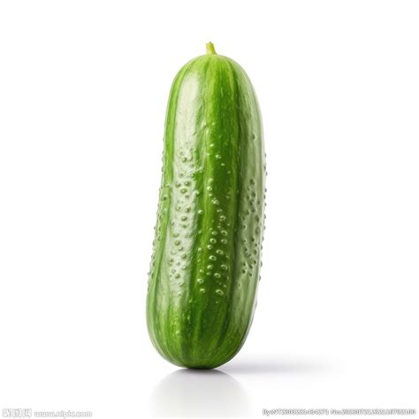 黄瓜 摄影图 蔬菜 生物世界 摄影图库 昵图网