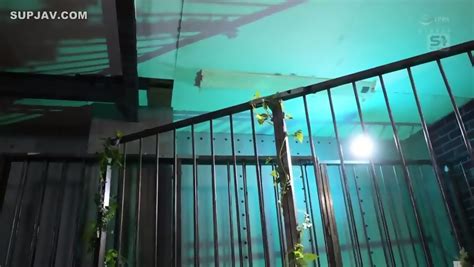 Niko Is A Lovely Girl Who Has Her First Rogy In The Studo Eporner