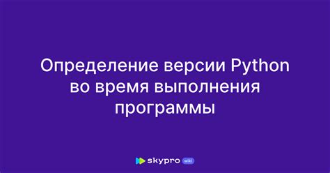 Определение версии Python во время выполнения программы