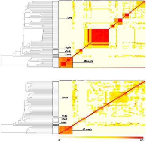 Composite Upgma Treekinship Heatmap Analyzed From Single Nucleotide