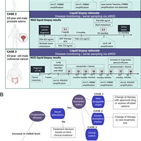 NGS Technology As The Backbone Of CtDNA Analysis A Starting With Whole Download Scientific