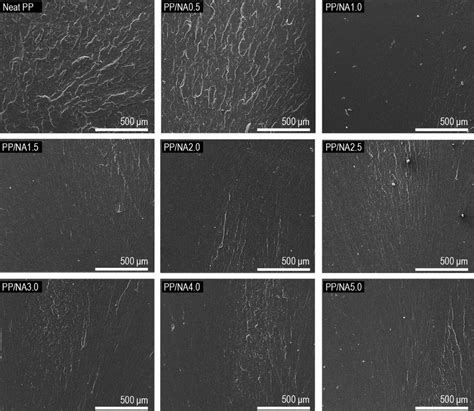 Sem Photomicrographs Of Charpy Impact Test Fracture Surfaces Of Neat Pp Download Scientific