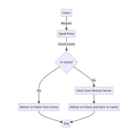 What Is Squid Proxy Server Software Key Features Functions And