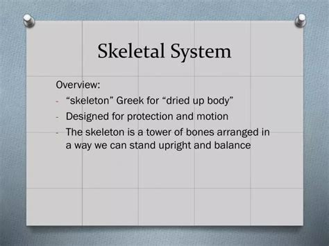 PPT Skeletal System PowerPoint Presentation Free Download ID 5491396