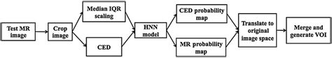 Enhanced Hnn Model Testing Pipeline Download Scientific Diagram