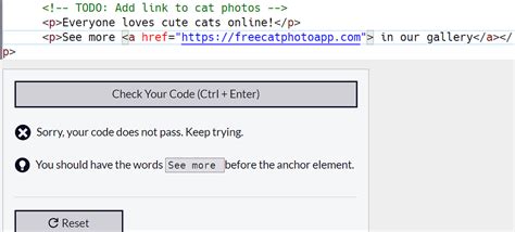 Learn Html By Building A Cat Photo App Step 12 Html Css The Freecodecamp Forum