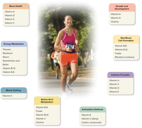 Nutrietion Final Three Chp Flashcards Quizlet