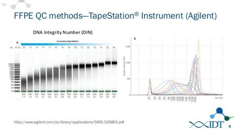 Target Capture Of Dna From Ffpe Samples— Recommendations For Generati