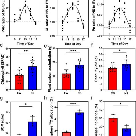 Row Orientation In The Field Intercropping System Influences The Download Scientific Diagram