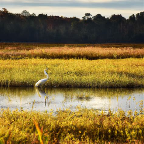 Securing Data With Vpn Encryption For Integrity And Confidentiality