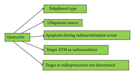 Role Of Natural Radiosensitizers And Cancer Cell Radioresistance An Update Malik 2016