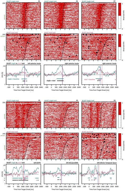 Interference Control In The Executive Network And The Language Network Download Scientific