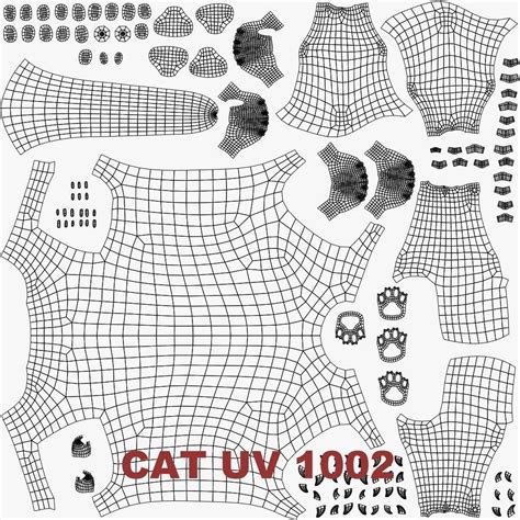 Cat Gray Tabby Rigged Animated 3d Model Animated Rigged Cgtrader