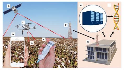 Artificial Intelligence Ai And Molecular Virus Detecting Techniques Download Scientific