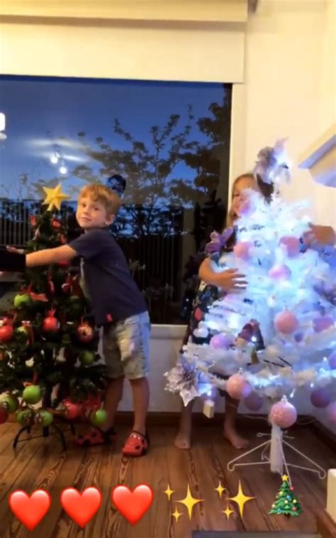 Los Famosos Armaron El Arbolito De Navidad Y Compartieron Sus Fotos Y