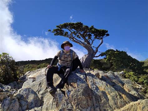 天使的眼淚 嘉明湖 超美的高山湖泊 向陽名樹向陽大崩壁 迎賓樹 三叉山 健行筆記