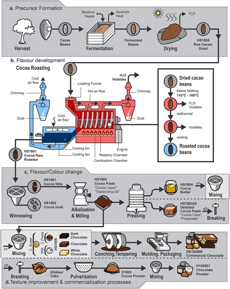 Industrial Processing Steps From Raw Cacao To Chocolate A Precursor