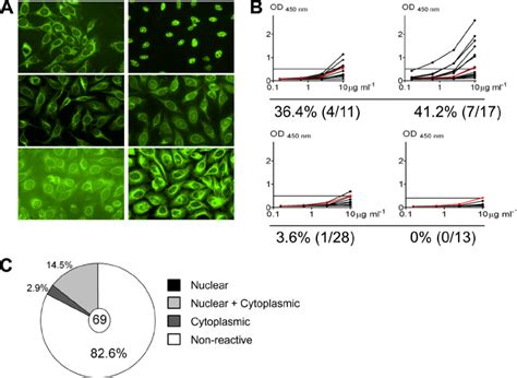 Self Reactivity Of Antibodies Derived From Ebv Ϫ Memory B Cells A