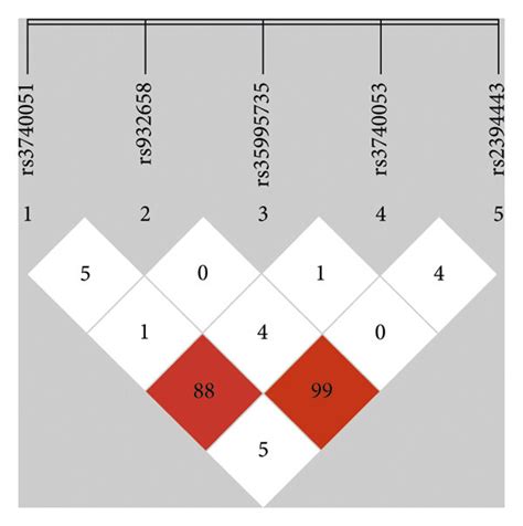 Linkage Disequilibrium Ld Analysis For The Five Snps The Snps