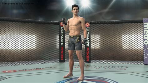 D Model Fighter Ufc Mma In Pose Fur Turbosquid