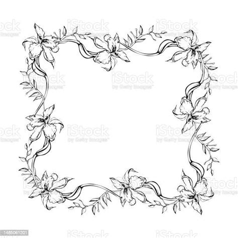 손으로 그린 벡터 잉크 난초 꽃과 가지 단색 자세한 개요 수평 프레임 구성 흰색 배경에 격리 벽 예술 결혼식 인쇄 문신 표지 카드를위한 디자인 0명에 대한 스톡 벡터 아트