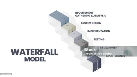 폭포 모델 인포그래픽 벡터는 소프트웨어 엔지니어링 또는 소프트웨어 개발 프로세스에 사용됩니다 이 그림에는 애자일 방법론이나 응용