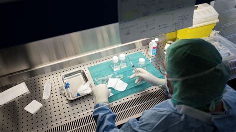 Genetically Engineered Bacteriophages Are A New Hope In Fighting Drug Resistant Infections