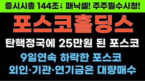 포스코홀딩스 세계최고의 기업이 될겁니다장기투자하세요 100배 수익납니다 포스코홀딩스 주가전망 양극재 에코프로 포스코퓨처엠 진프로 무료추천주 포스코엠텍