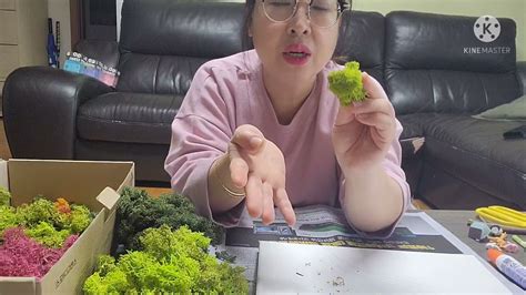 스칸디아모스 액자 만들기 Youtube