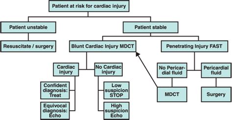 Chart Shows The Suggested Diagnostic Algorithm For Evaluating Patients
