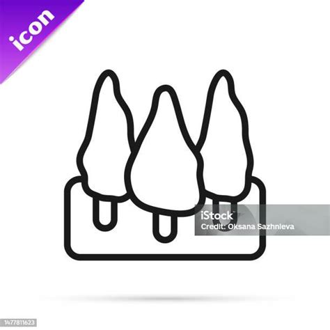 흰색 배경에 격리된 검은색 줄 나무 아이콘입니다 포리스트 기호입니다 벡터 0명에 대한 스톡 벡터 아트 및 기타 이미지 0명 가루로 빻은 가을 Istock