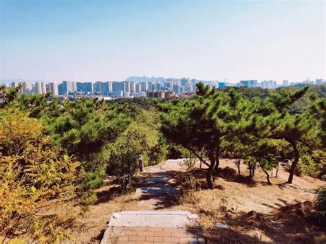 實拍秋高氣爽一起去爬北嶺山森林公園 每日頭條