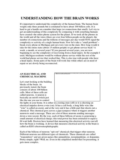 How The Brain Works Pdf Lateralization Of Brain Function Brain