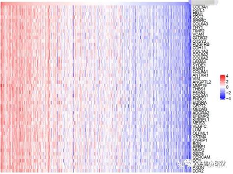 基因集泛癌分析，重磅来袭 知乎