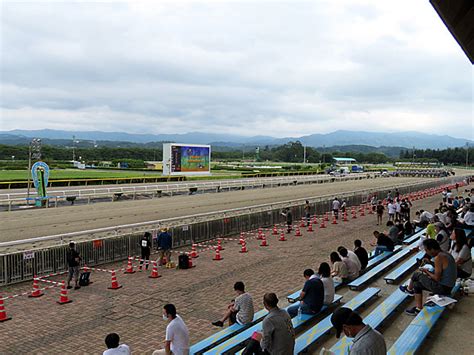 ビューチフルドリーマーカップ 水沢競馬場 2020年8月30日の競馬日記 東京競馬場どっとこむ