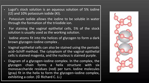 Vaginal Fluid Analysis Forensic Biology Pptx