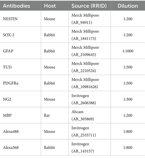 Oligodendrocyte Precursor Cell Derived Exosomes Combined With Cell