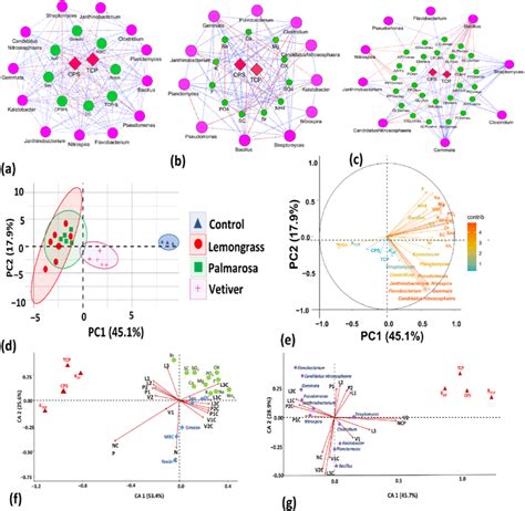 Network Correlation A C And Principal Component Analysis D E Among